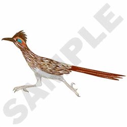 Roadrunner Running Embroidery Design | AnnTheGran.com