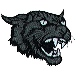Wildcat Embroidery Design | AnnTheGran.com