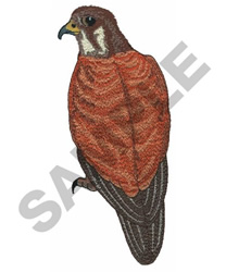 FALCON Embroidery Design | AnnTheGran.com