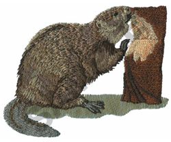 BEAVER Embroidery Design | AnnTheGran.com