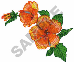 HIBISCUS Embroidery Design | AnnTheGran.com