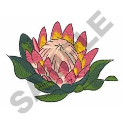 King Protea Flower Embroidery Design | AnnTheGran.com
