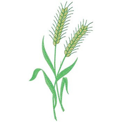 Wheat Embroidery Design | AnnTheGran.com