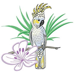Cockatoo Embroidery Design | AnnTheGran.com