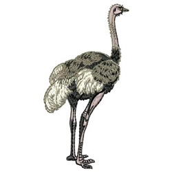 Ostrich Embroidery Design | AnnTheGran.com