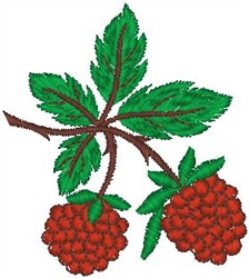 Raspberry Embroidery Design | AnnTheGran.com