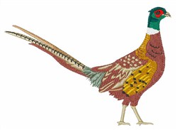 Ring-Necked Pheasant Embroidery Design | AnnTheGran.com