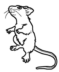 Mouse Outline Embroidery Design | AnnTheGran.com