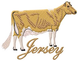 Jersey Embroidery Design | AnnTheGran.com