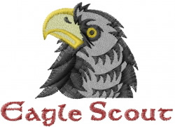 Eagle Scout Embroidery Design | AnnTheGran.com