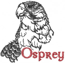 Osprey Embroidery Design | AnnTheGran.com