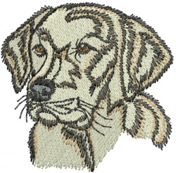 Lab Face Embroidery Design | AnnTheGran.com