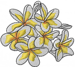 Frangipani Embroidery Design | AnnTheGran.com