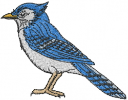 Blue Jay Embroidery Design | AnnTheGran.com