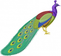 Peacock Embroidery Design | AnnTheGran.com