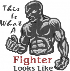 Fighter Looks Like Embroidery Design | AnnTheGran.com