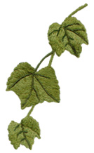 Ivy Embroidery Design | AnnTheGran.com