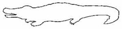 Gator Outline Embroidery Design | AnnTheGran.com