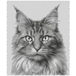 Maine Coon Realistic Cat Embroidery Design | AnnTheGran.com