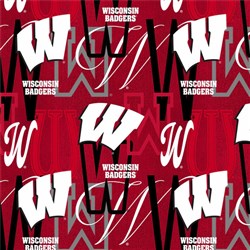 Explore Wisconsin Badgers NCAA College Letters Sykel Cotton Fabric SYK ...