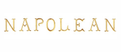 Napolean Alphabet Embroidery Font | AnnTheGran.com
