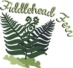Fiddlehead Fern Vector Illustration | AnnTheGran.com