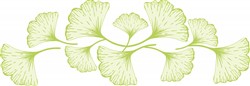 Ginko Leaves SVG file - SVG cut files.com | AnnTheGran.com