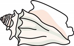 Conch Shell Vector Illustration | AnnTheGran.com