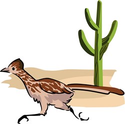 Roadrunner SVG file - SVG cut files.com | AnnTheGran.com