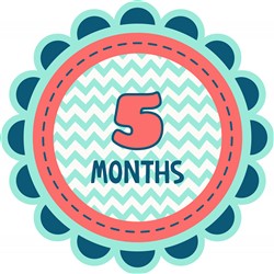 5 Months Vector Illustration | AnnTheGran.com