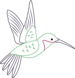 Hummingbird Outline Vector Illustration | AnnTheGran.com