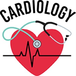 Cardiology Vector Illustration | AnnTheGran.com