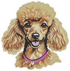 Poodle Embroidery Design | AnnTheGran.com