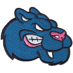 Panthers Embroidery Design | AnnTheGran.com