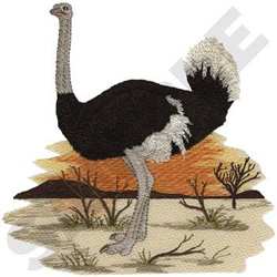 Ostrich Embroidery Design | AnnTheGran.com