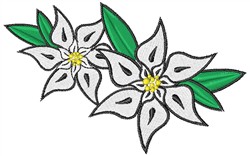 Edelweiss Embroidery Design | AnnTheGran.com