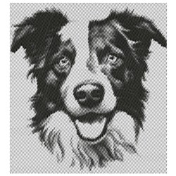 Border Collie Embroidery Design | AnnTheGran.com