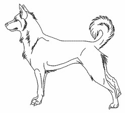 Husky Outline Embroidery Design | AnnTheGran.com